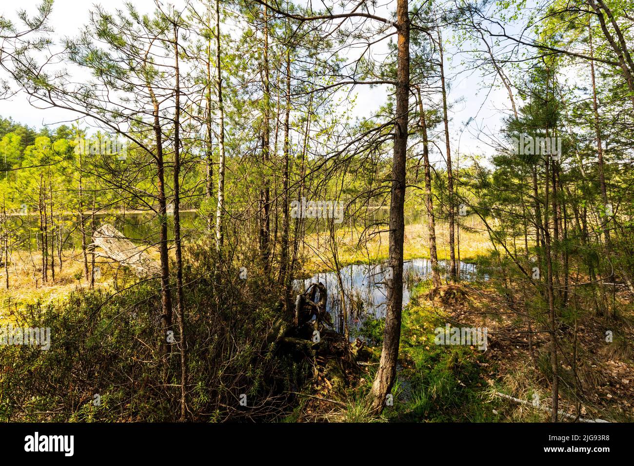 Brodnica landscape park jezioro okonek hi-res stock photography and ...