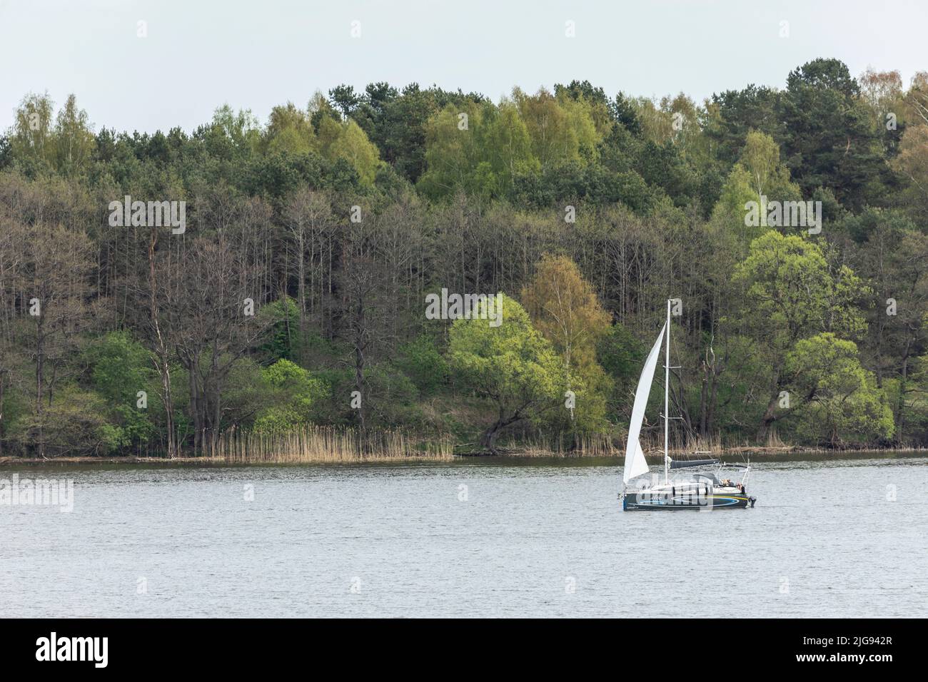 Jeziorak hi-res stock photography and images - Alamy