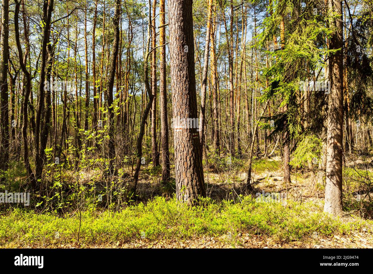 Lower silesia landscape hi-res stock photography and images - Alamy
