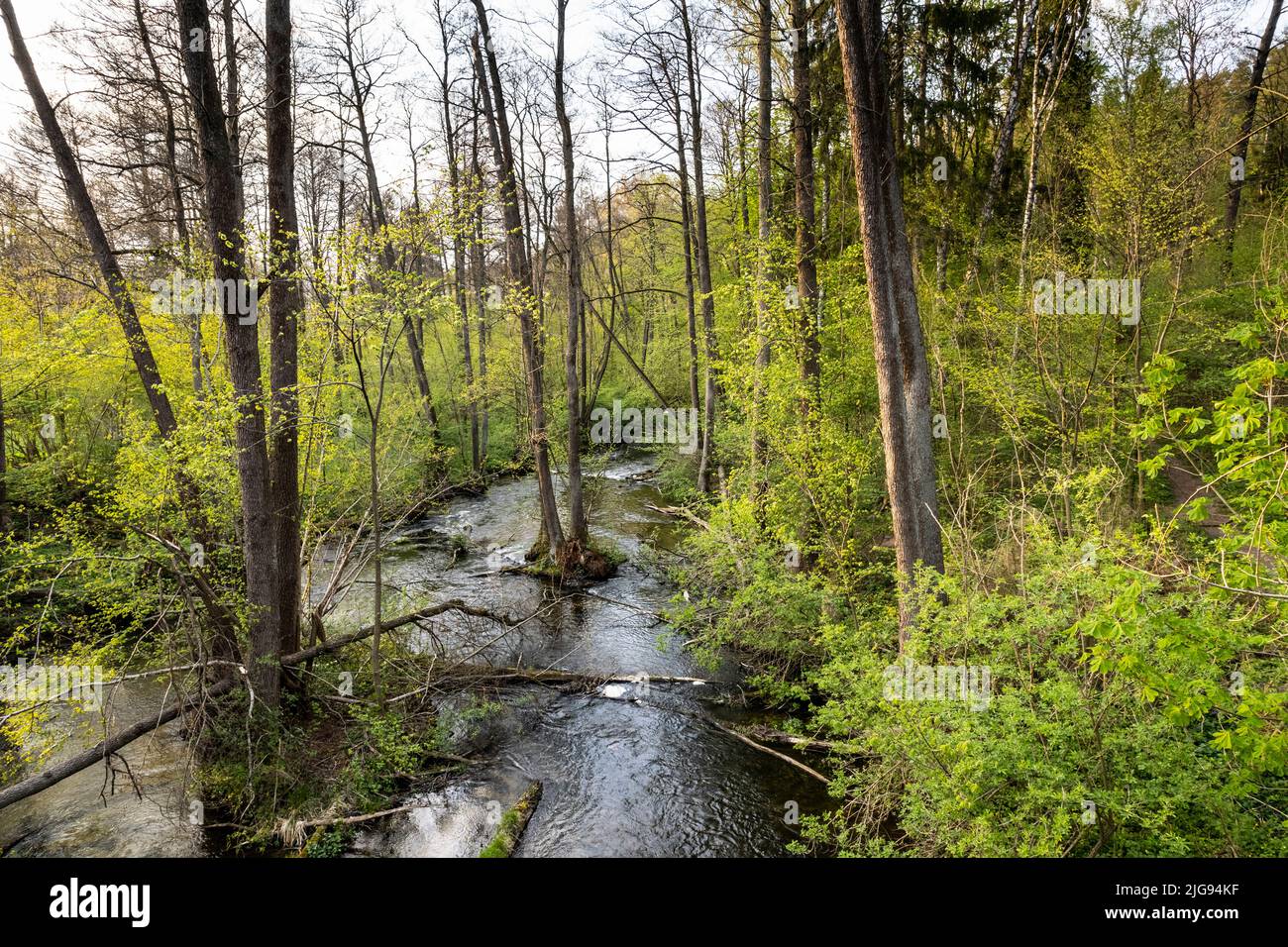 Piekielko nature reserve with wel river hi-res stock photography and ...