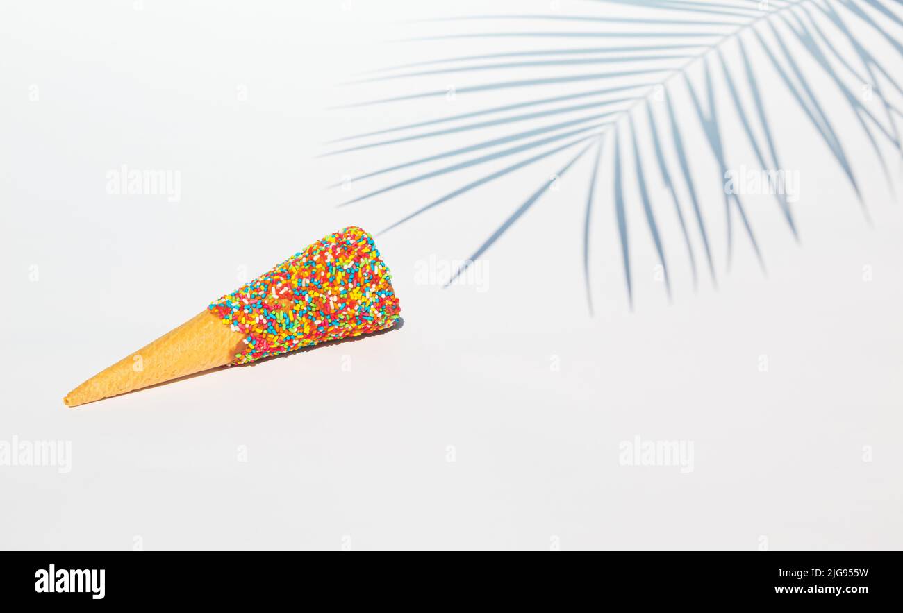 Palm tree leaf shadow and colorful ice cream cone with sprinkles on ...