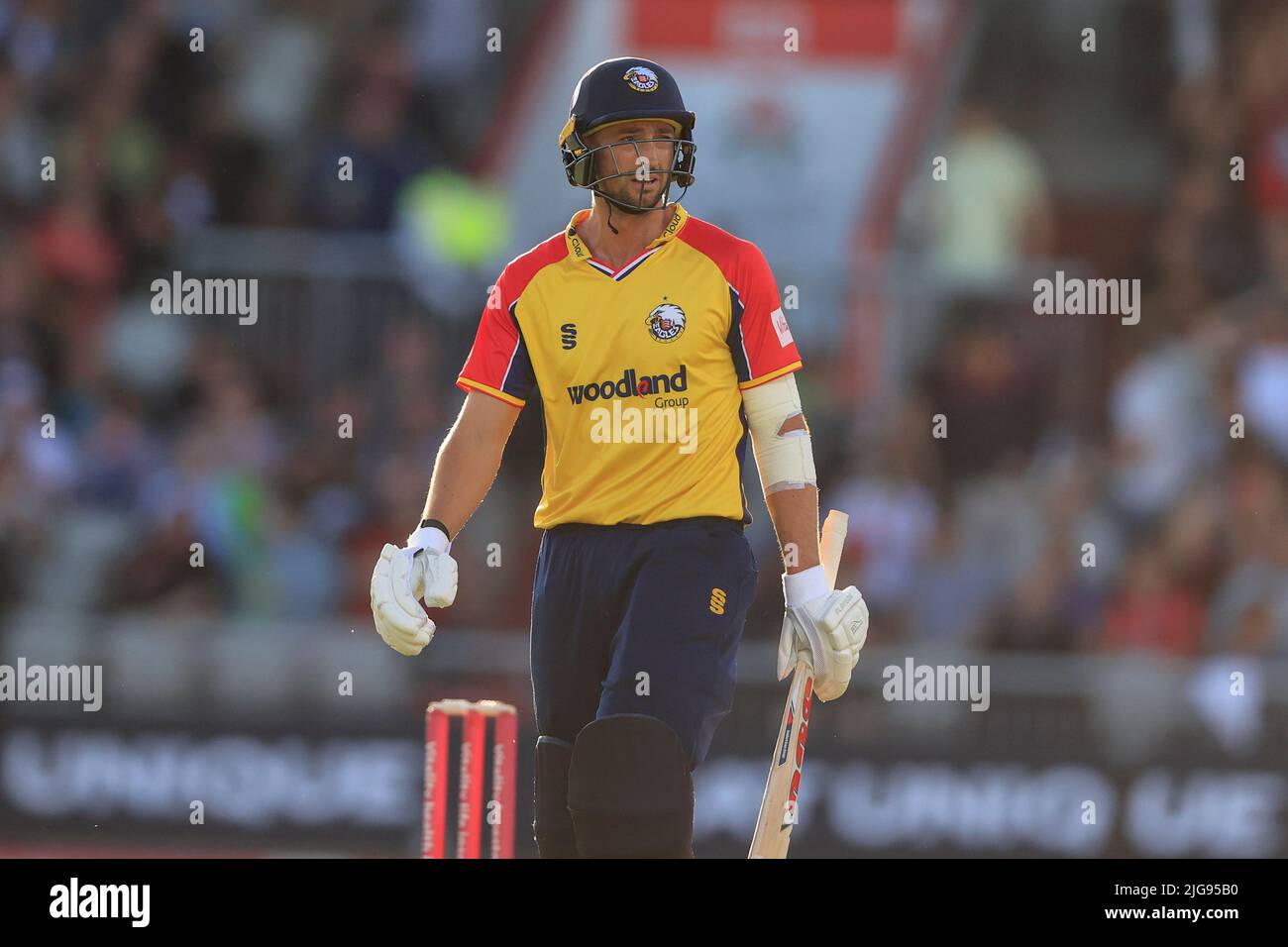 Dan sams hi-res stock photography and images - Alamy