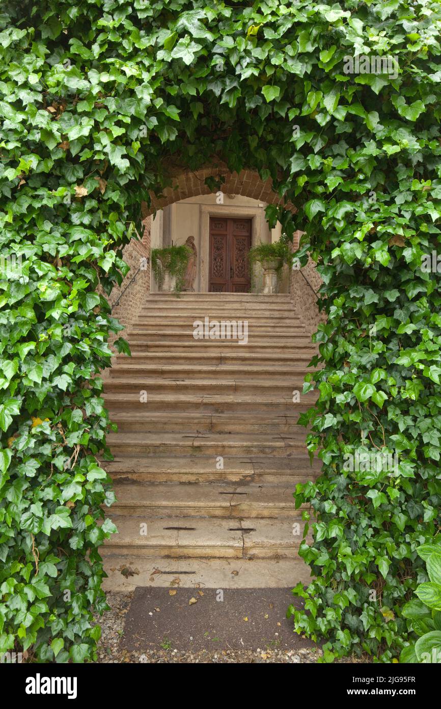 Ivy vines on the archway leading to the front steps hi-res stock ...