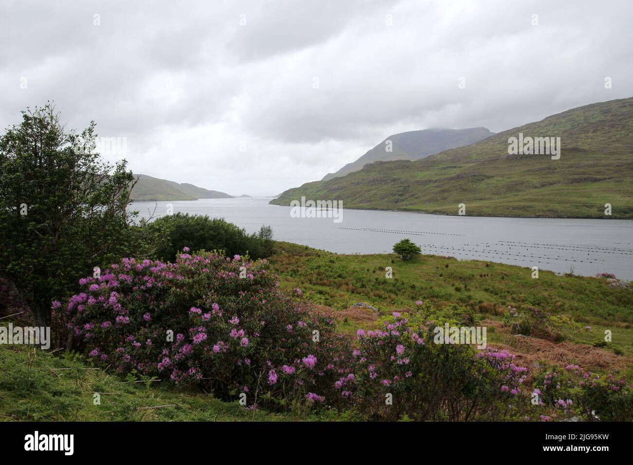 View of the fjord at Killary Harbour, Ireland Stock Photo - Alamy