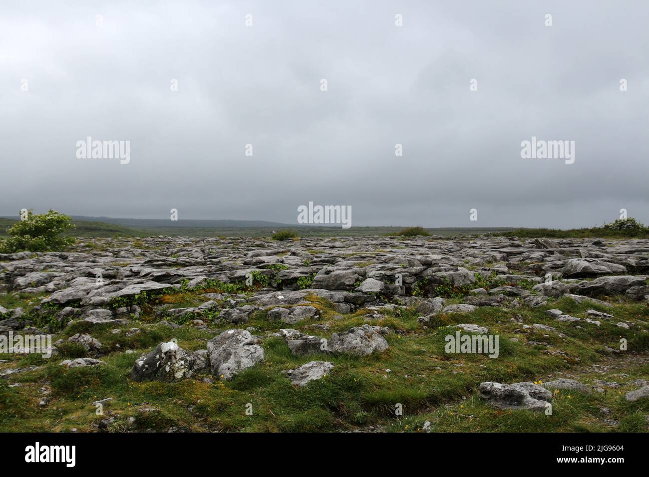 The limestone area of the Burren National Park,, Ireland Stock Photo ...