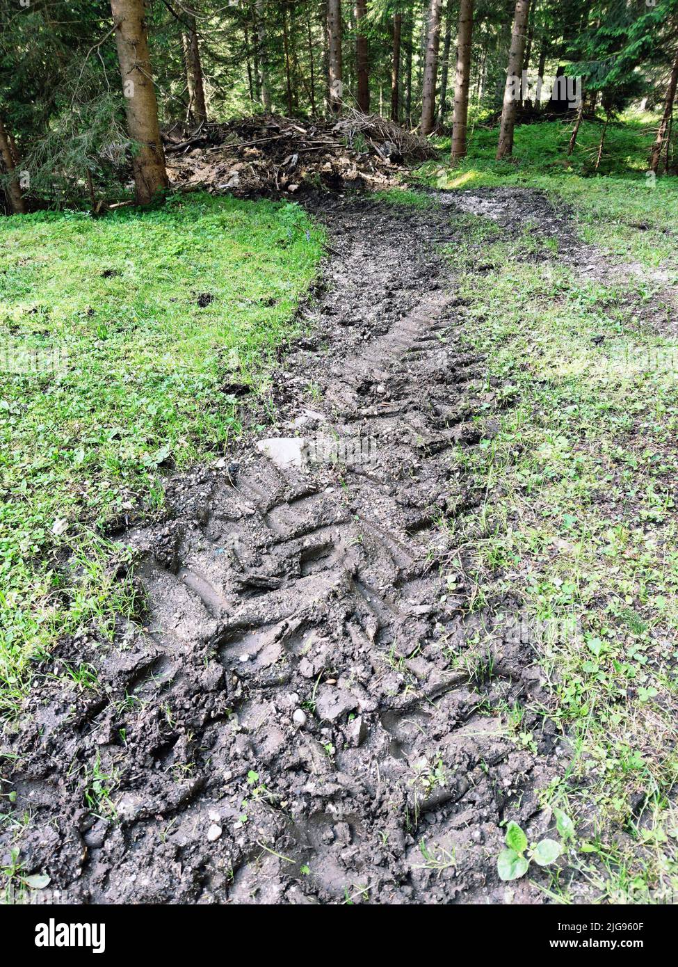 Deep tire tread marks on forest floor hi-res stock photography and images - Alamy
