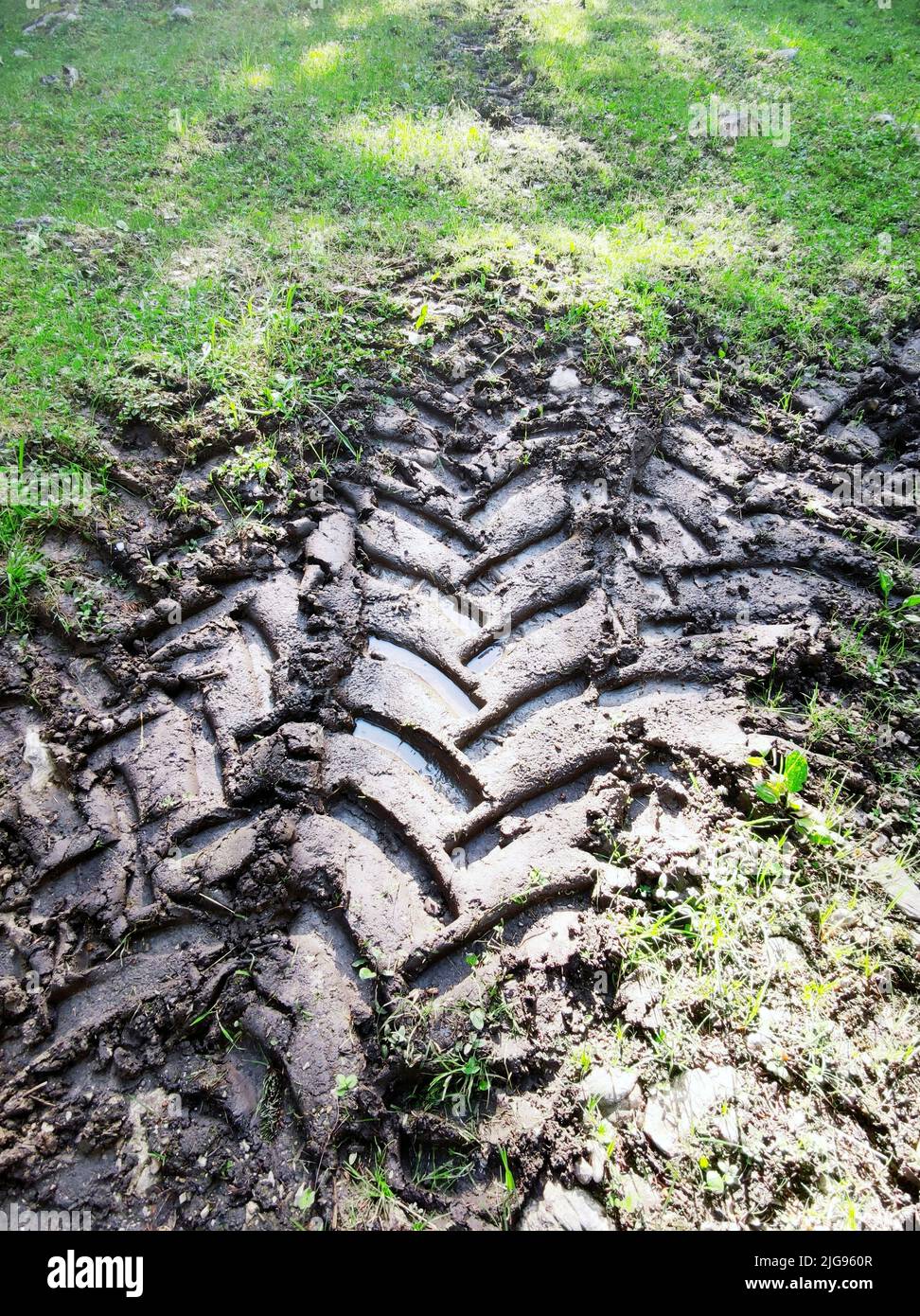 deep tire tread marks on forest floor Stock Photo - Alamy