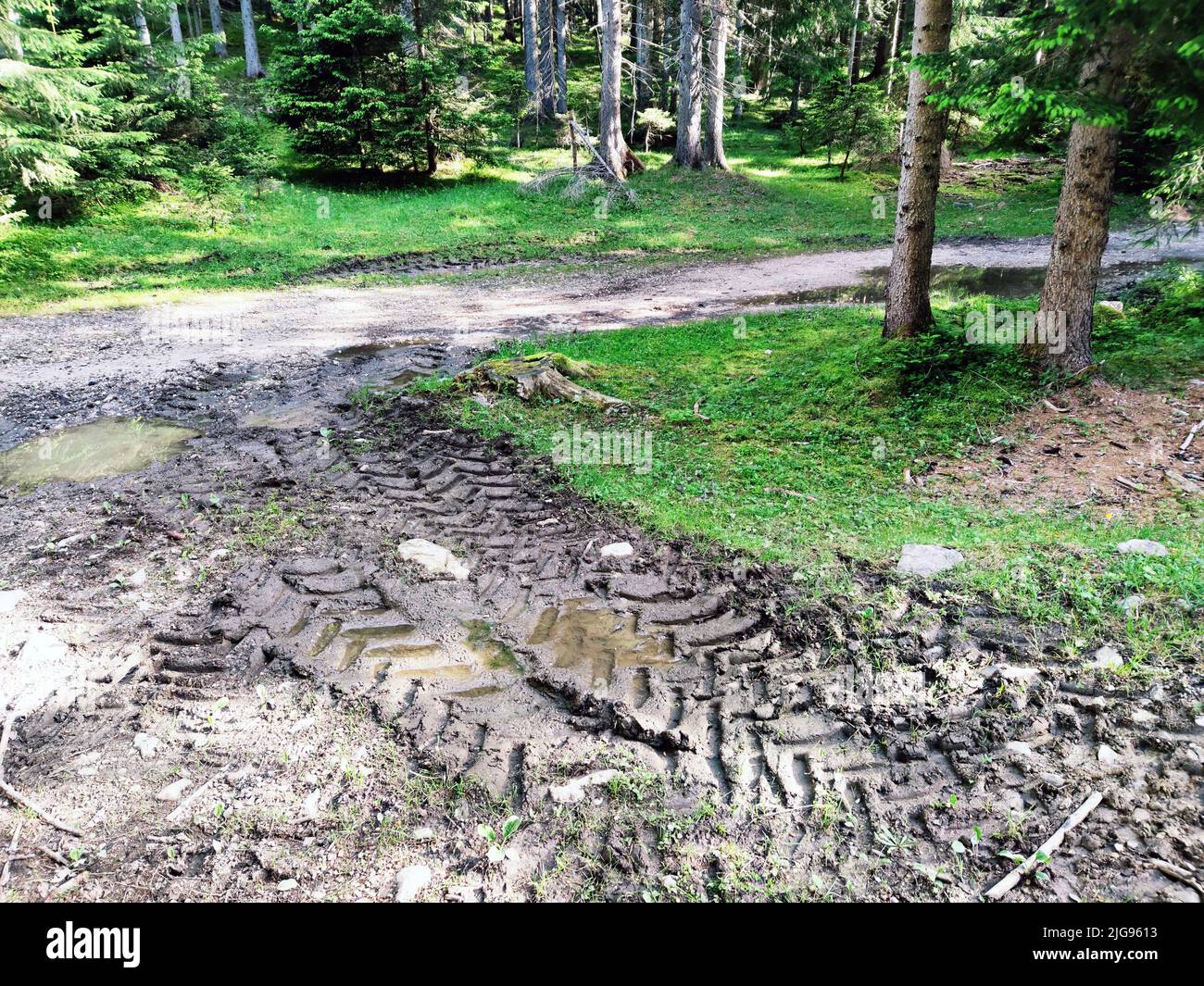Deep tire tread marks on forest floor hi-res stock photography and images - Alamy