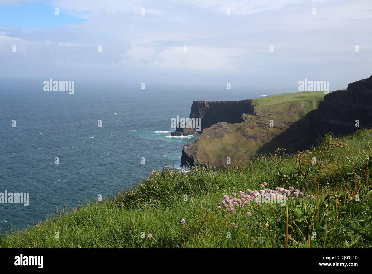 The world famous Cliffs of Moher, Ireland Stock Photo - Alamy