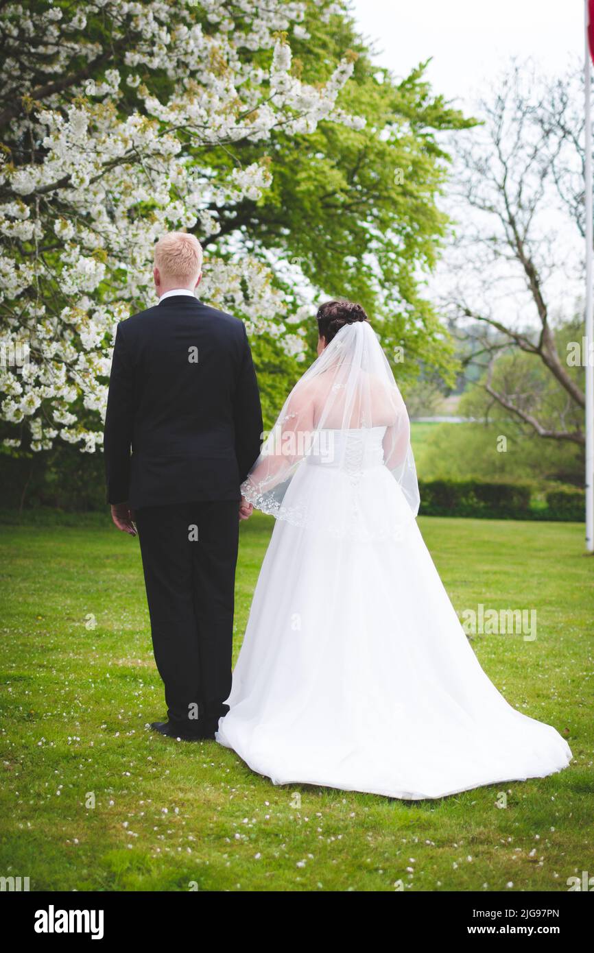 A back view of the bride and the groom standing in the green park Stock ...