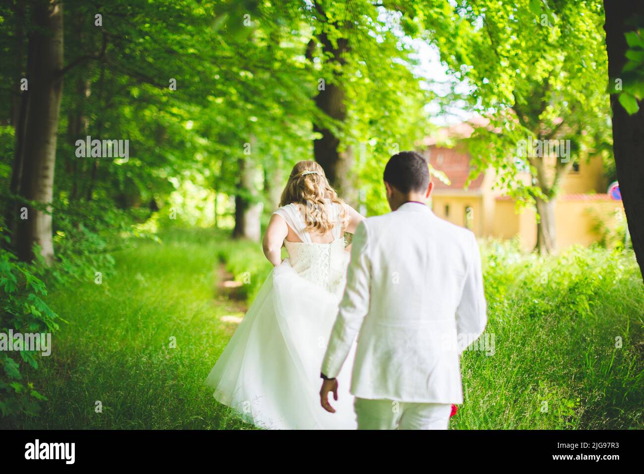 A back view of the bride and groom in white walking in the green park ...