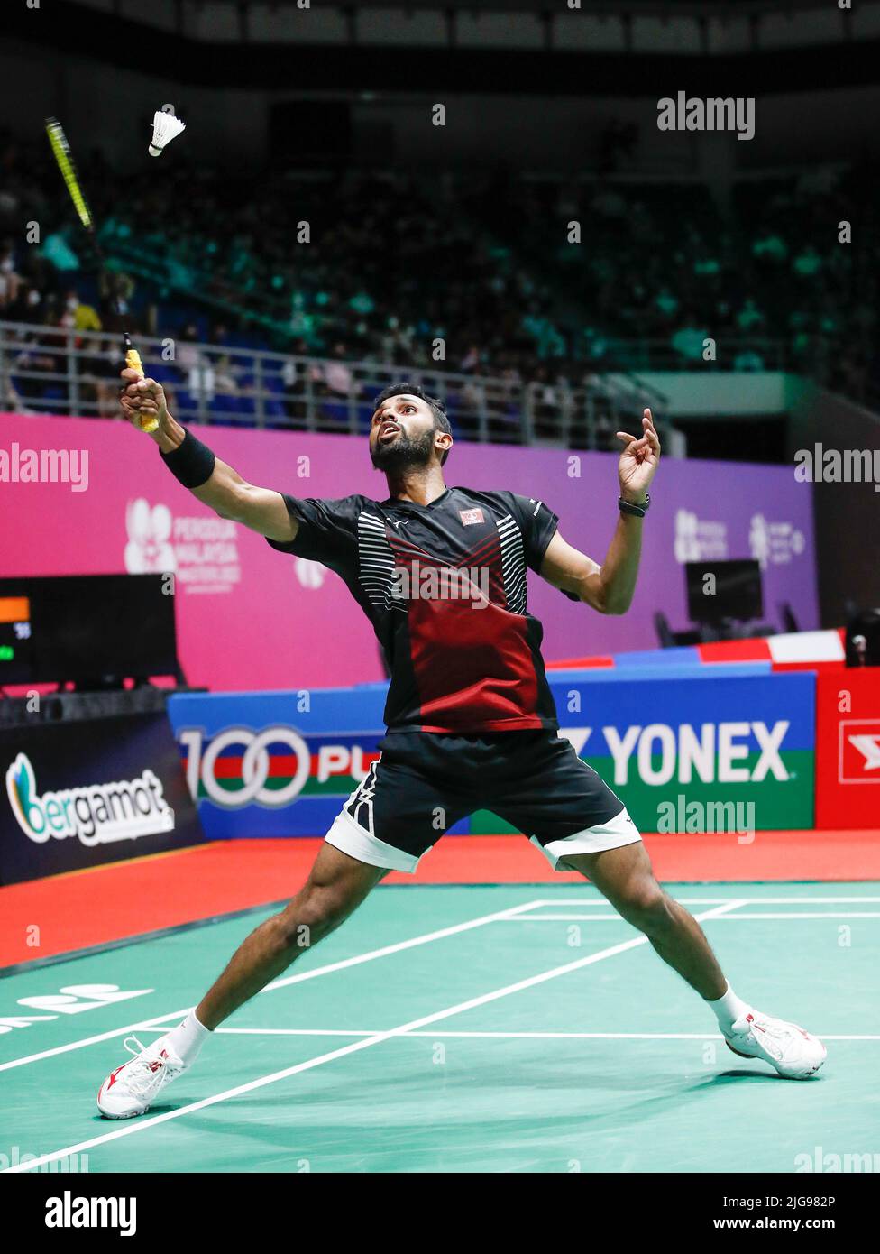 Menis single quarter finals hi-res stock photography and images - Alamy