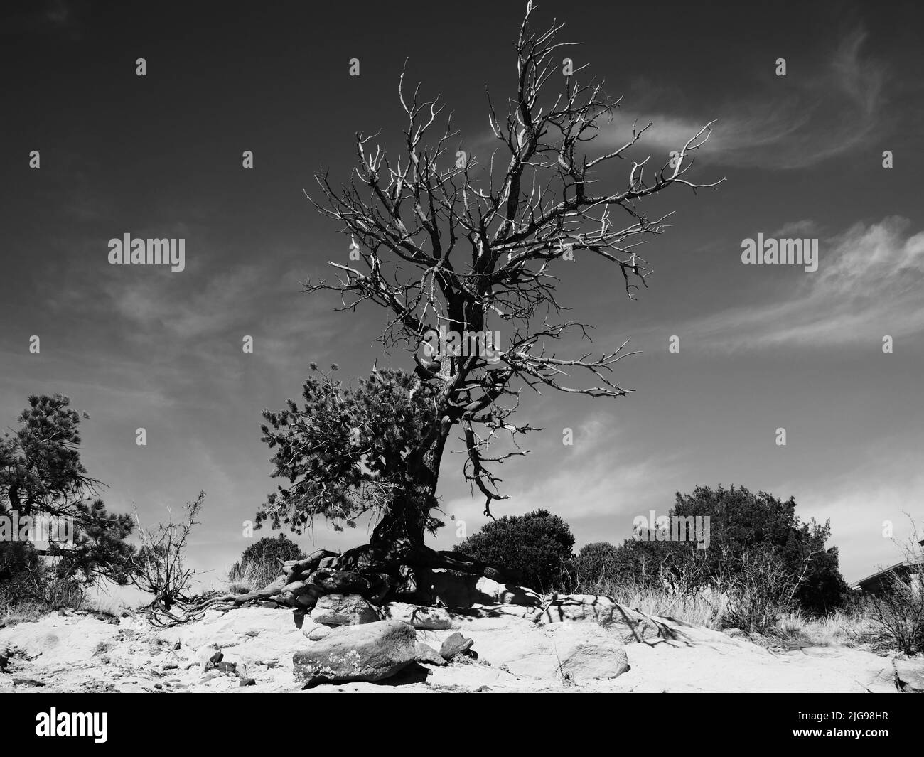 Colorado Springs Pulpit Rock scenery Stock Photo - Alamy