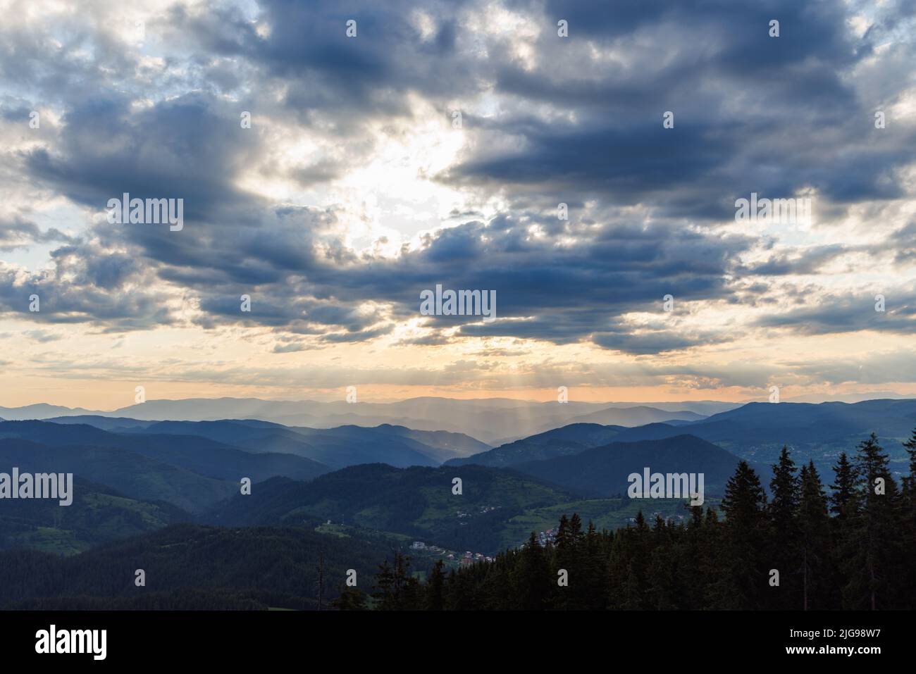 Cold cloudy rainy weather over low hills covered with spruce evergreen ...