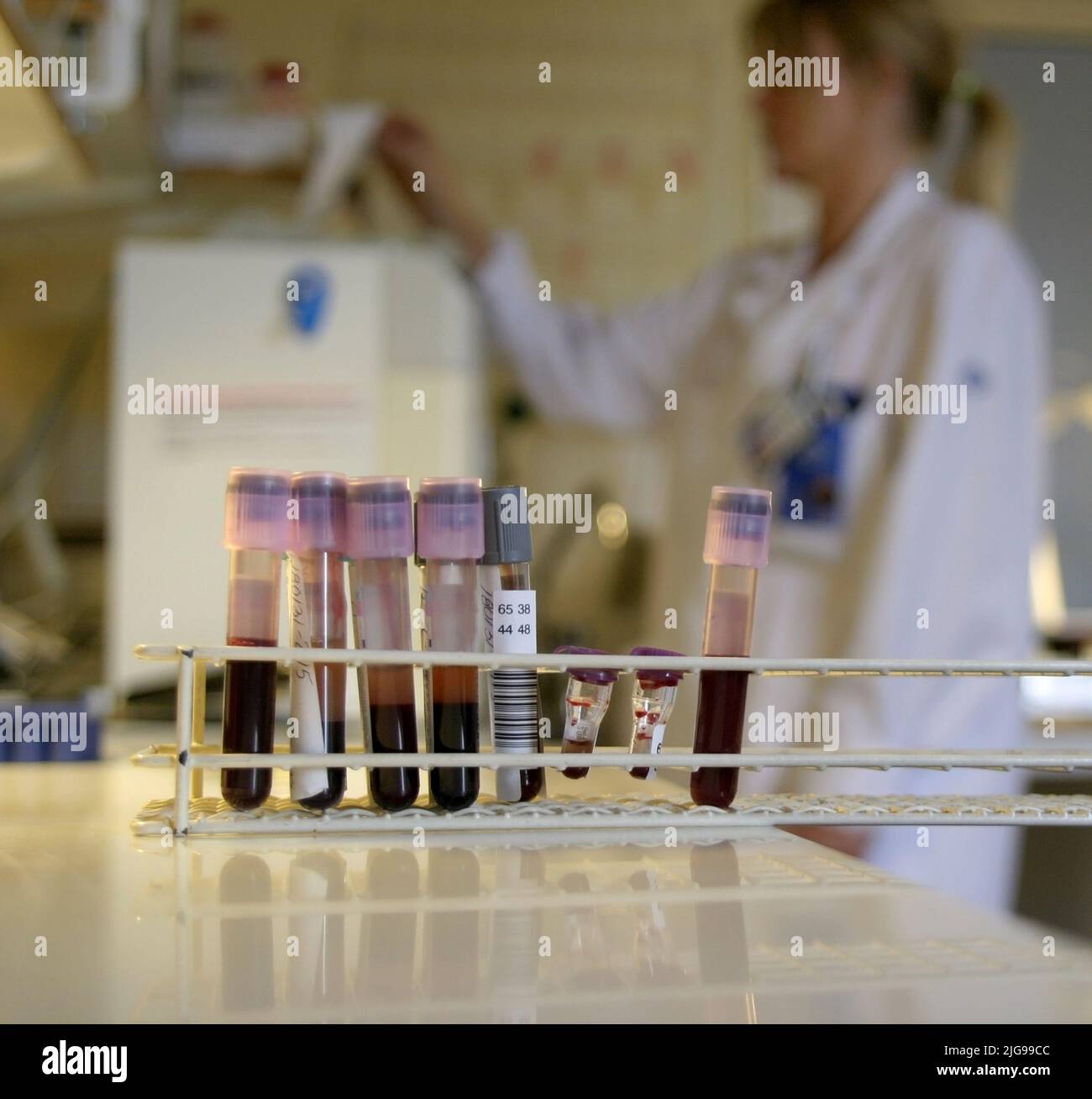 Medical staff with a lot of blood samples, in a laboratory, from ...