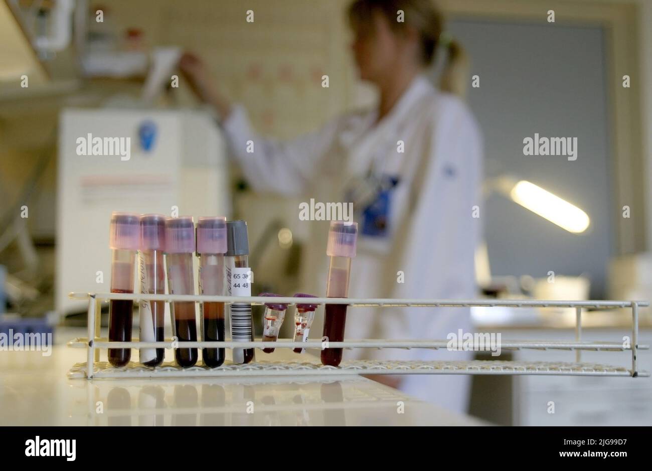 Medical staff with a lot of blood samples, in a laboratory, from ...