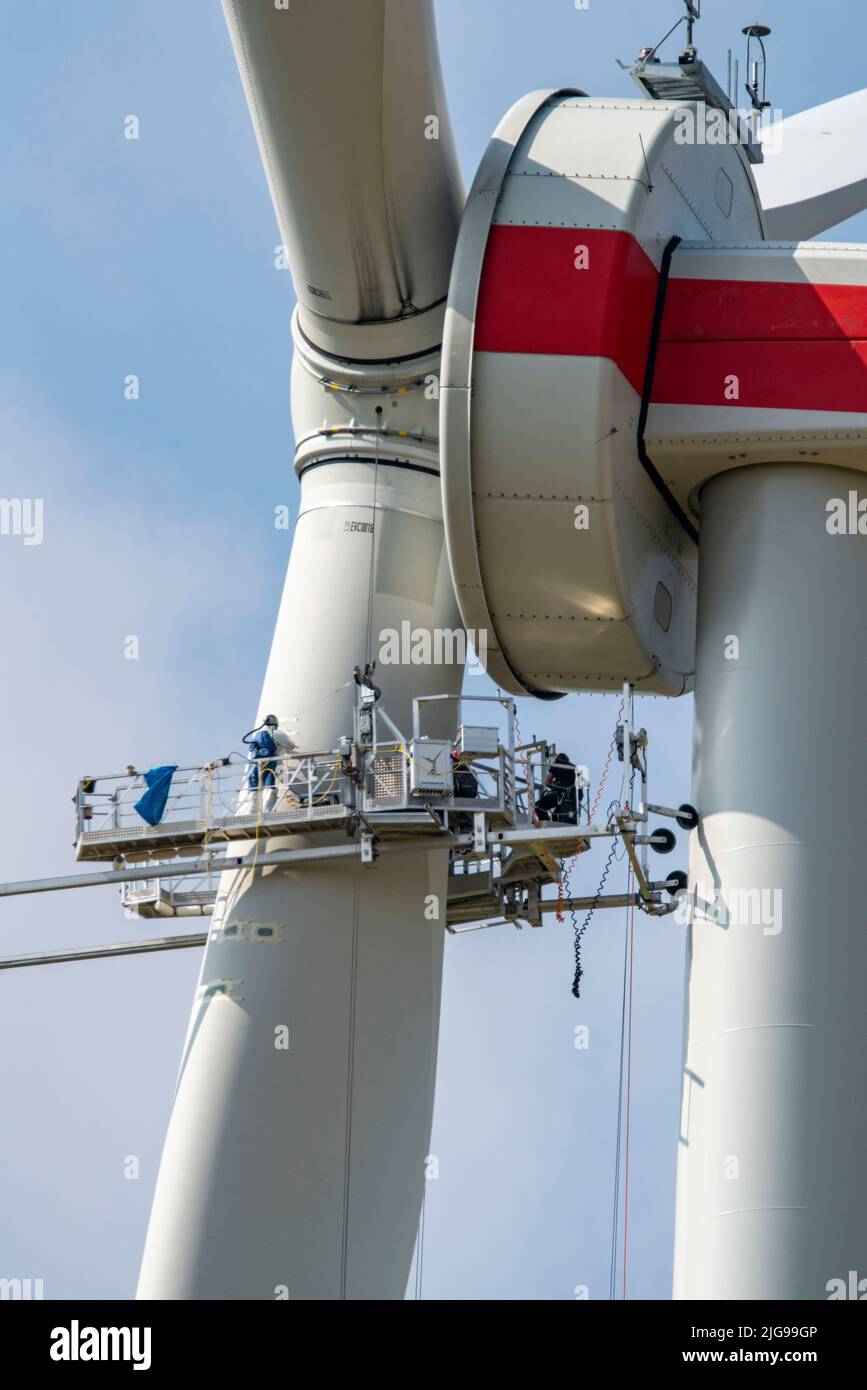 Maintenance work, repairs on a rotor of an Enercon wind turbine, in a ...