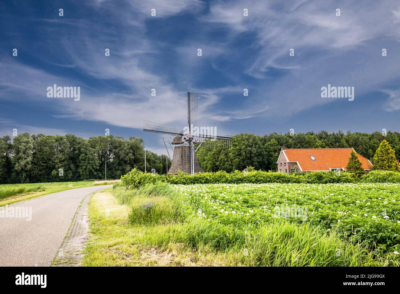 Grote oosterpolder hi-res stock photography and images - Alamy
