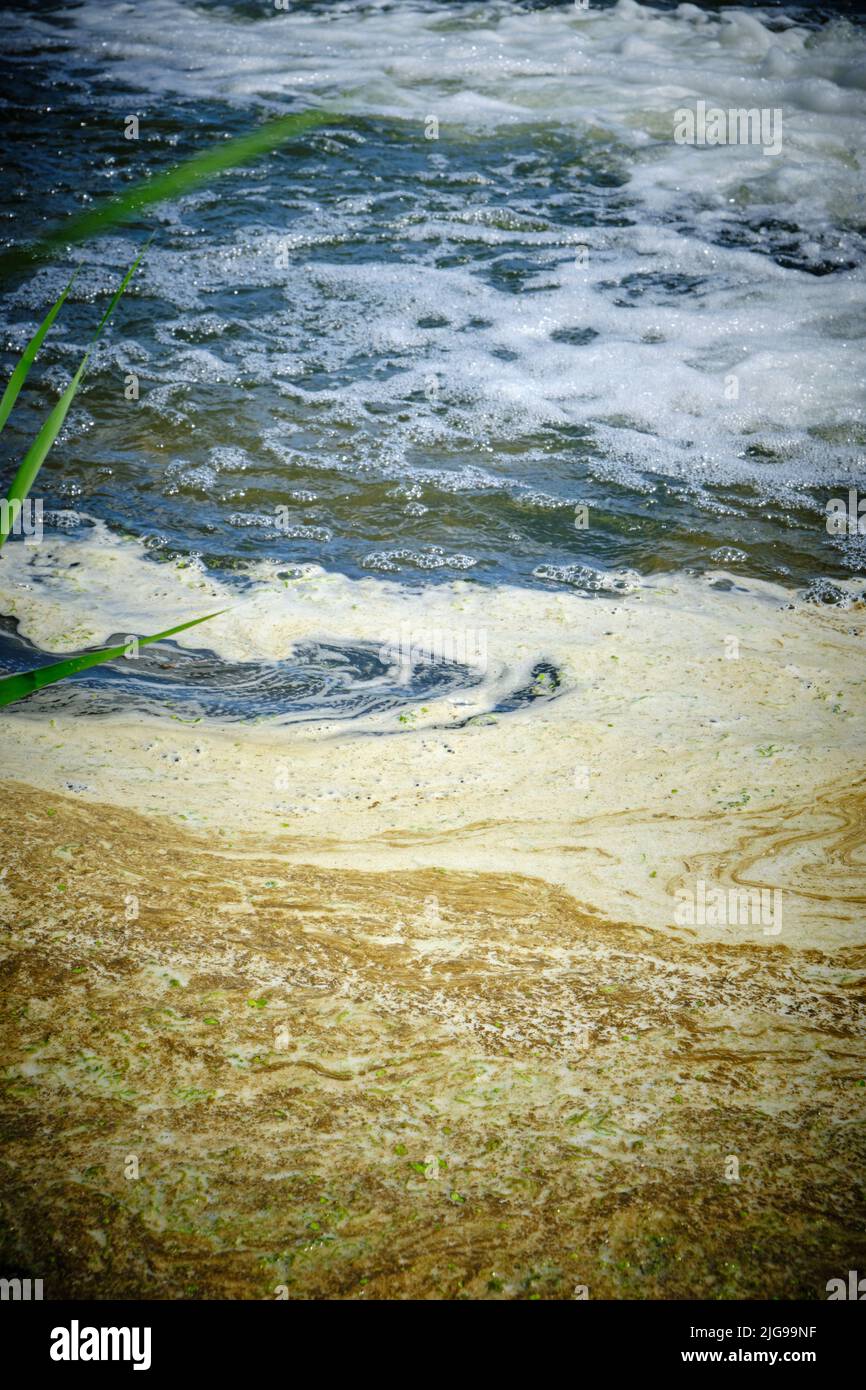 Yellow foam surface reservoir, pollution rivers with chemicals and ...