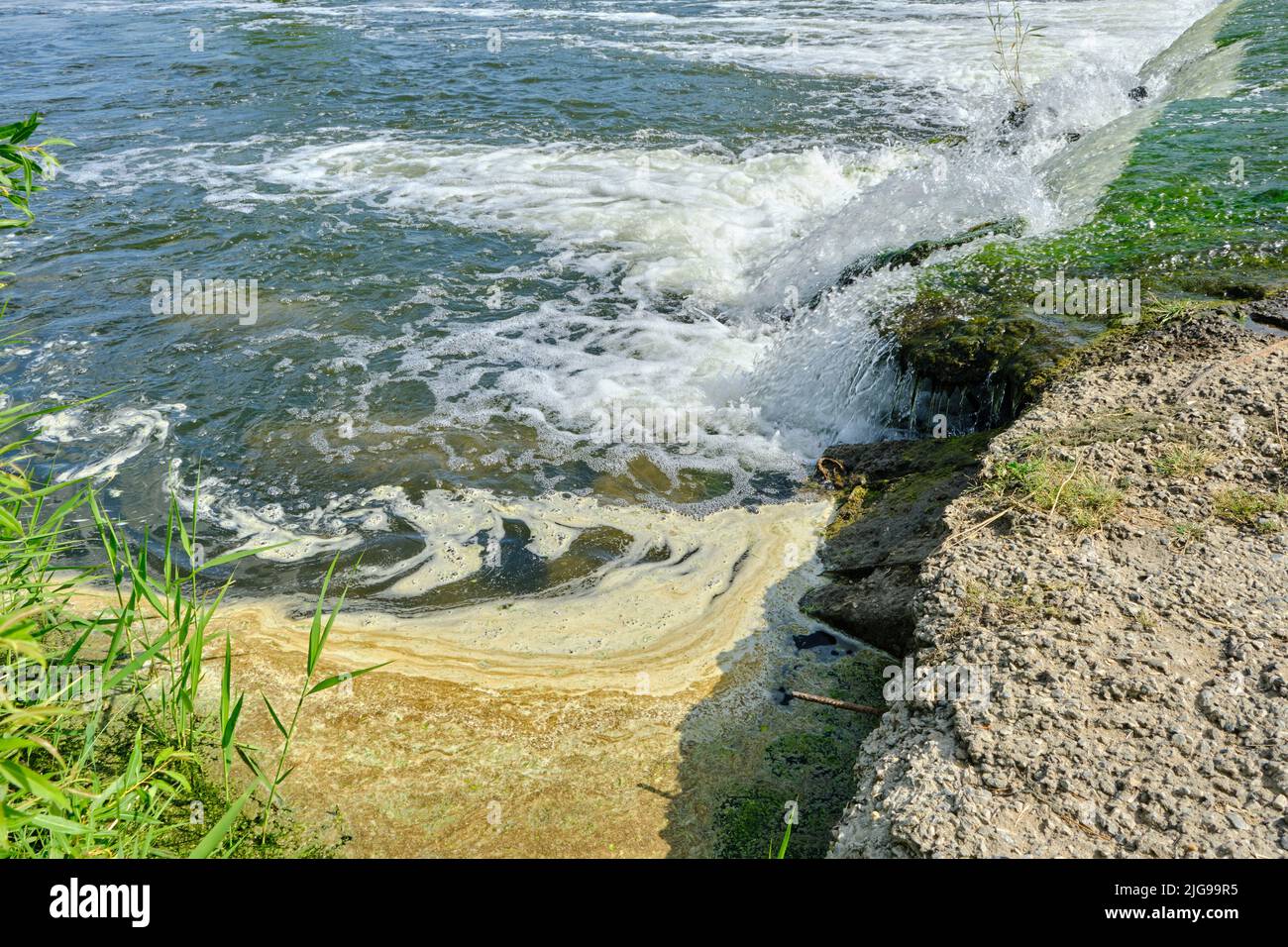 Polluted river, muddy yellow foam riverbank dirty ecology and ...