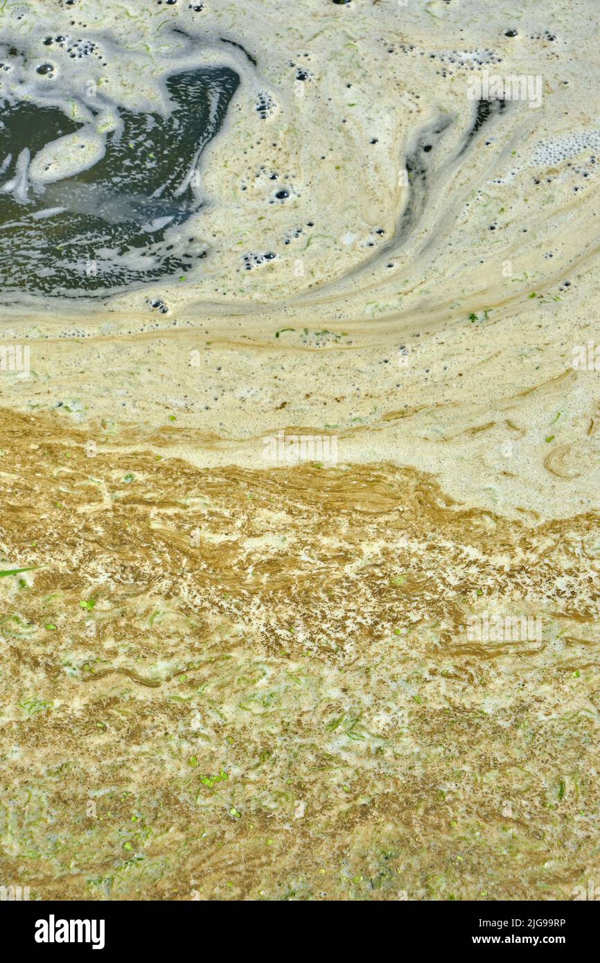 Yellow foam surface reservoir, pollution rivers with chemicals and ...