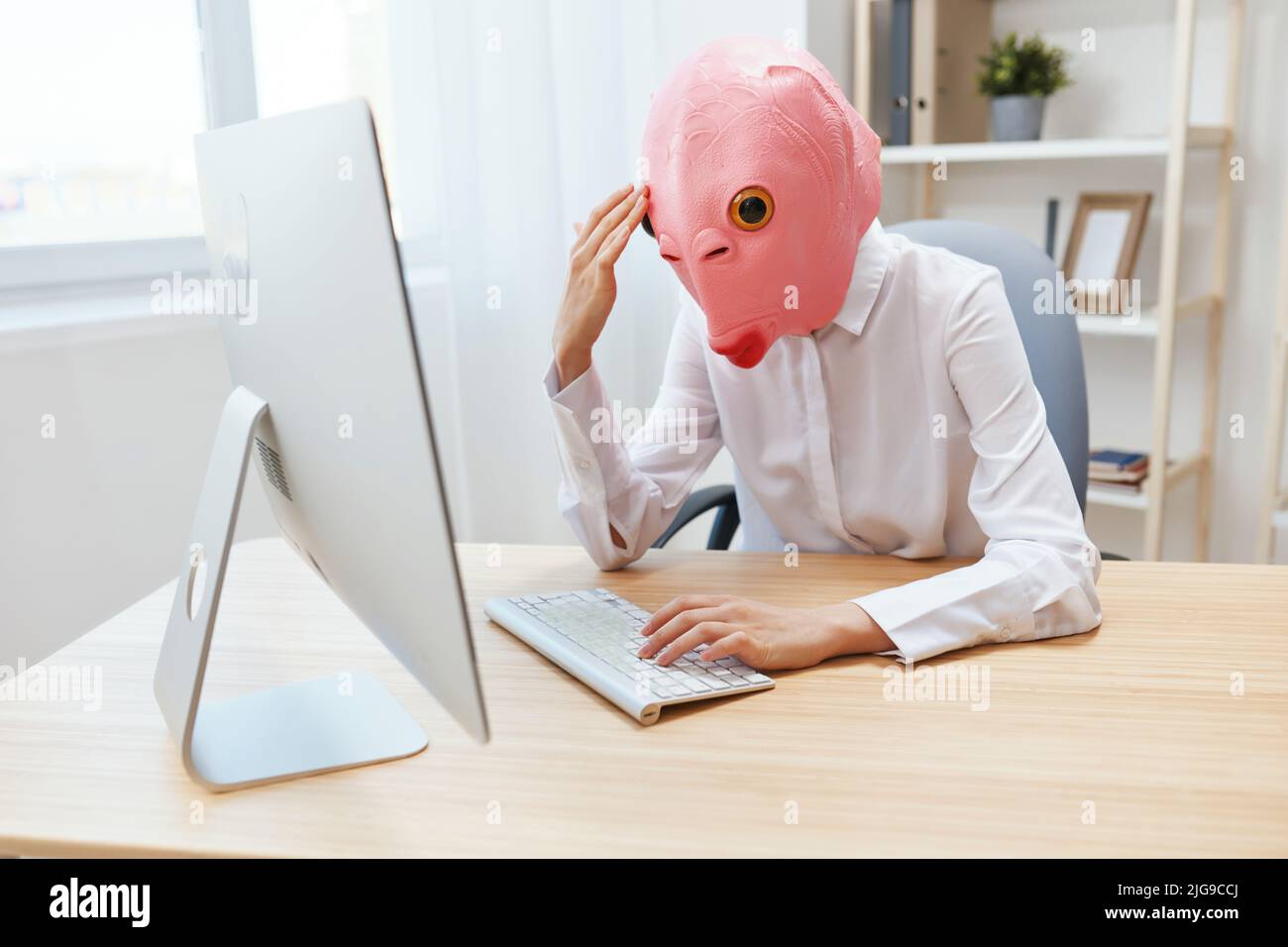 Accountant operational hi-res stock photography and images - Alamy