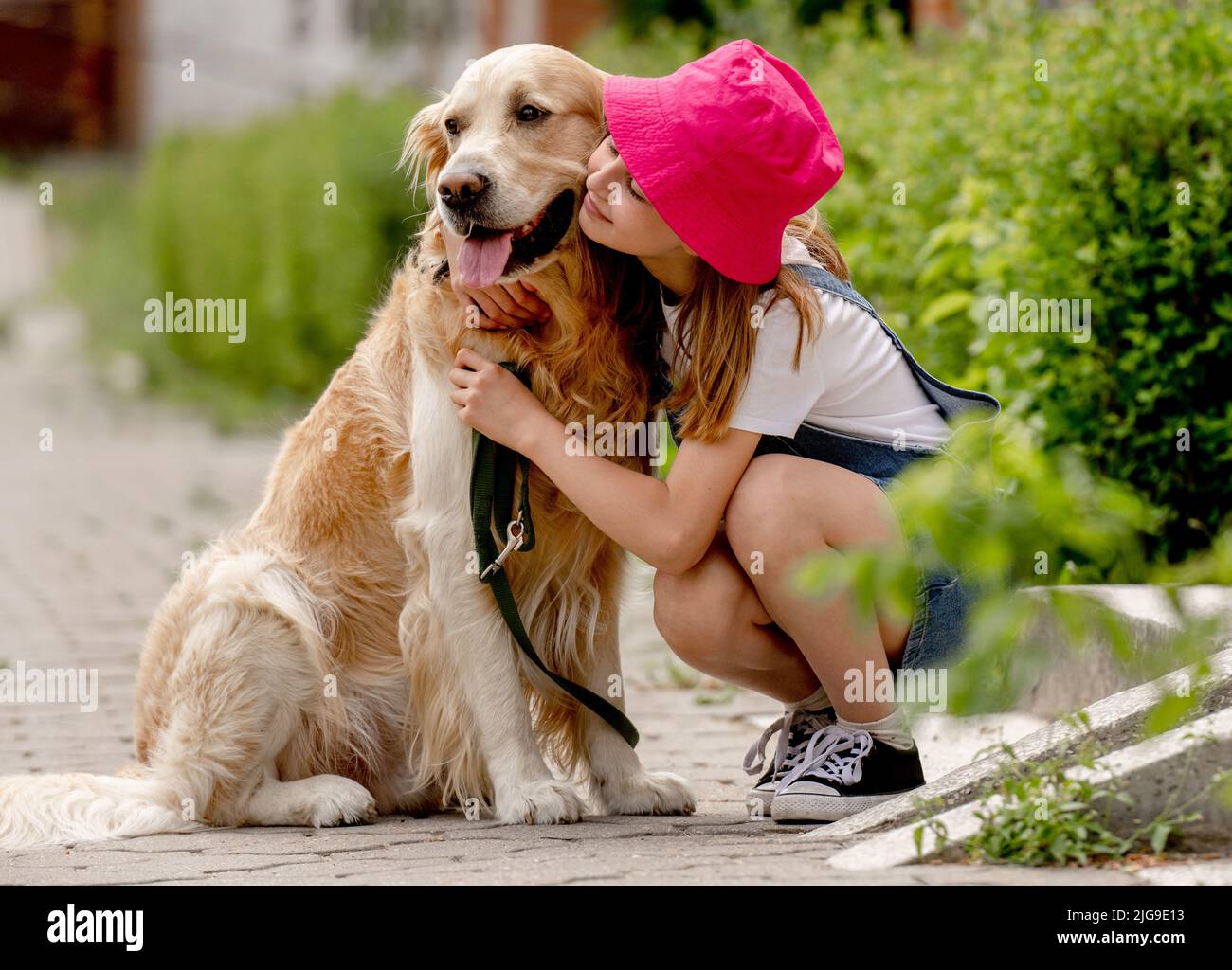 Preteen girl with golden retriever dog Stock Photo - Alamy