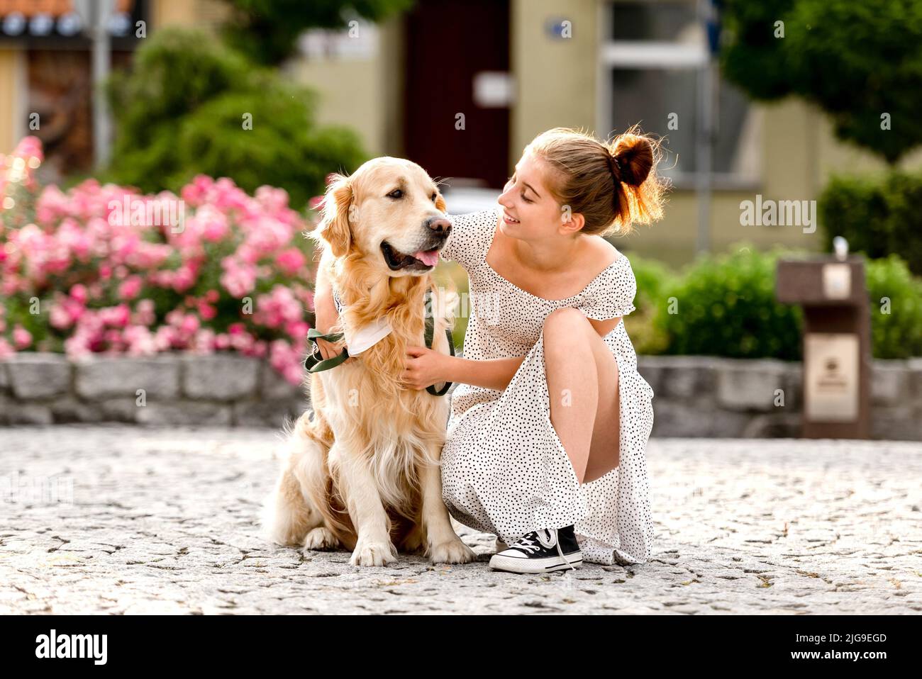 Golden retriever dog girl hi-res stock photography and images - Alamy