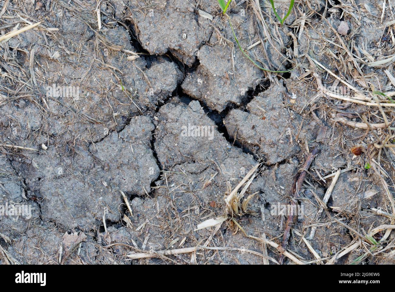 earth broken open by drought Stock Photo - Alamy