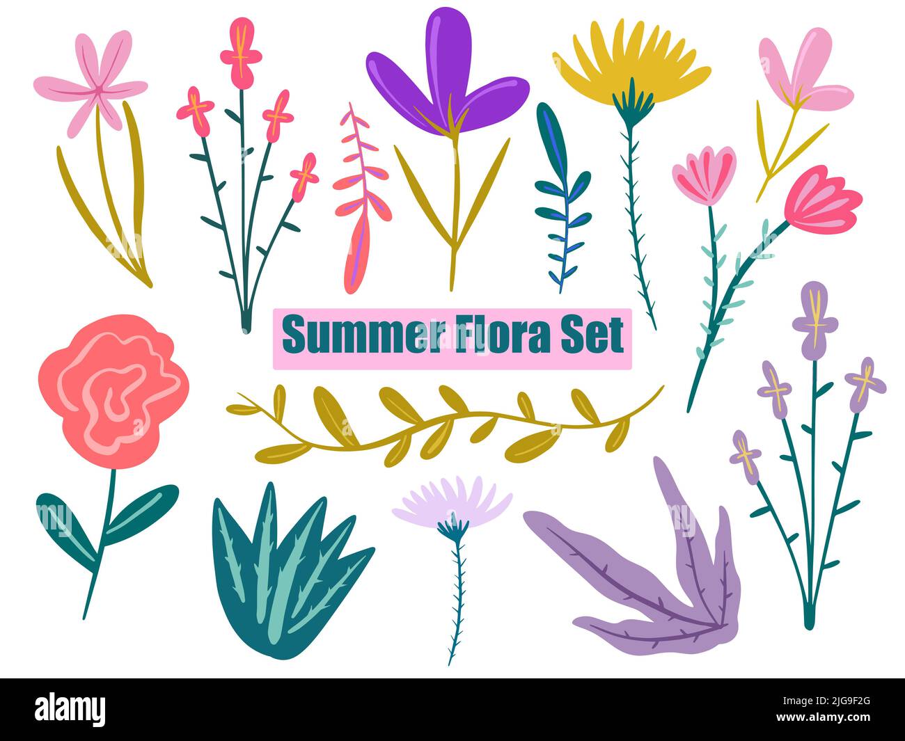 Vector Hand painted summer Wild flowers set. Sketch flora and herbs ...