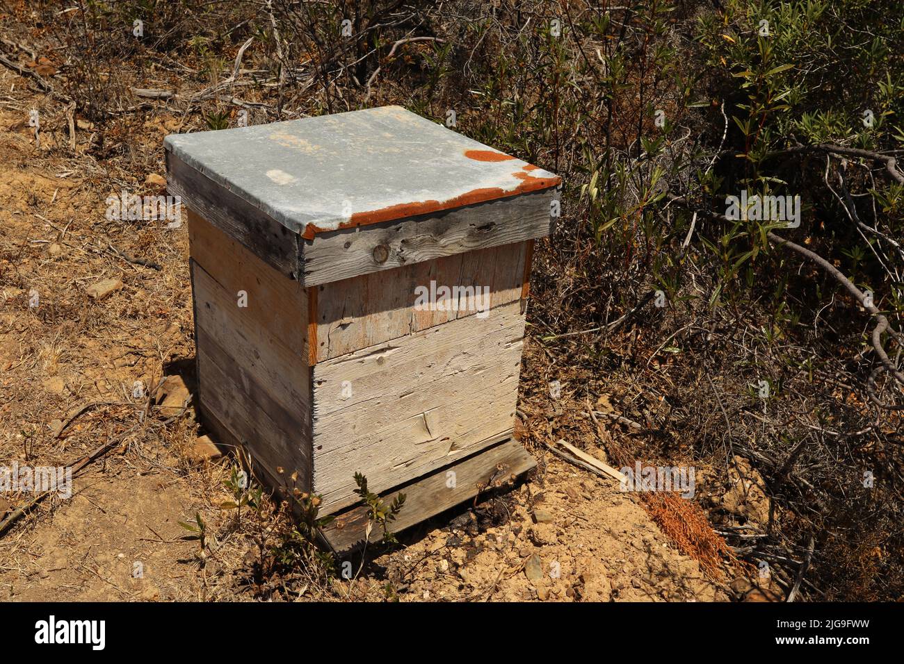 Beehive in the nature, Bee hive in a green garden Stock Photo - Alamy