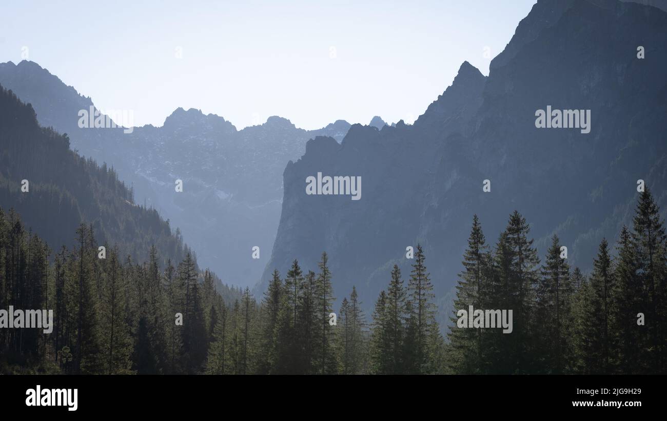 Beautiful alpine valley with forest and sharp stone walls and peaks ...