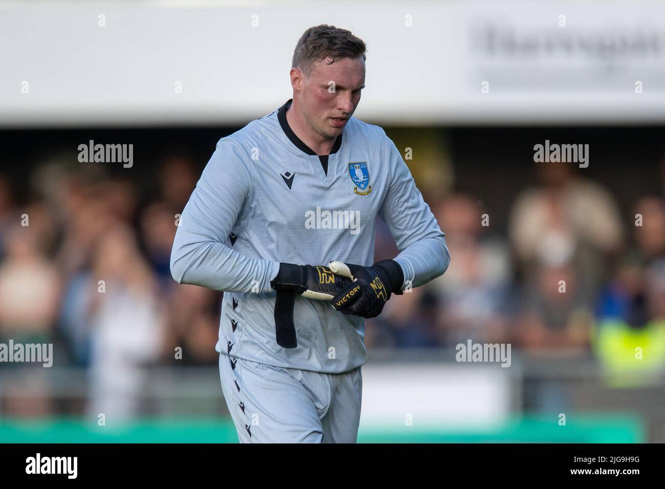 New signing for Sheffield Wednesday David Stockdale during the game ...