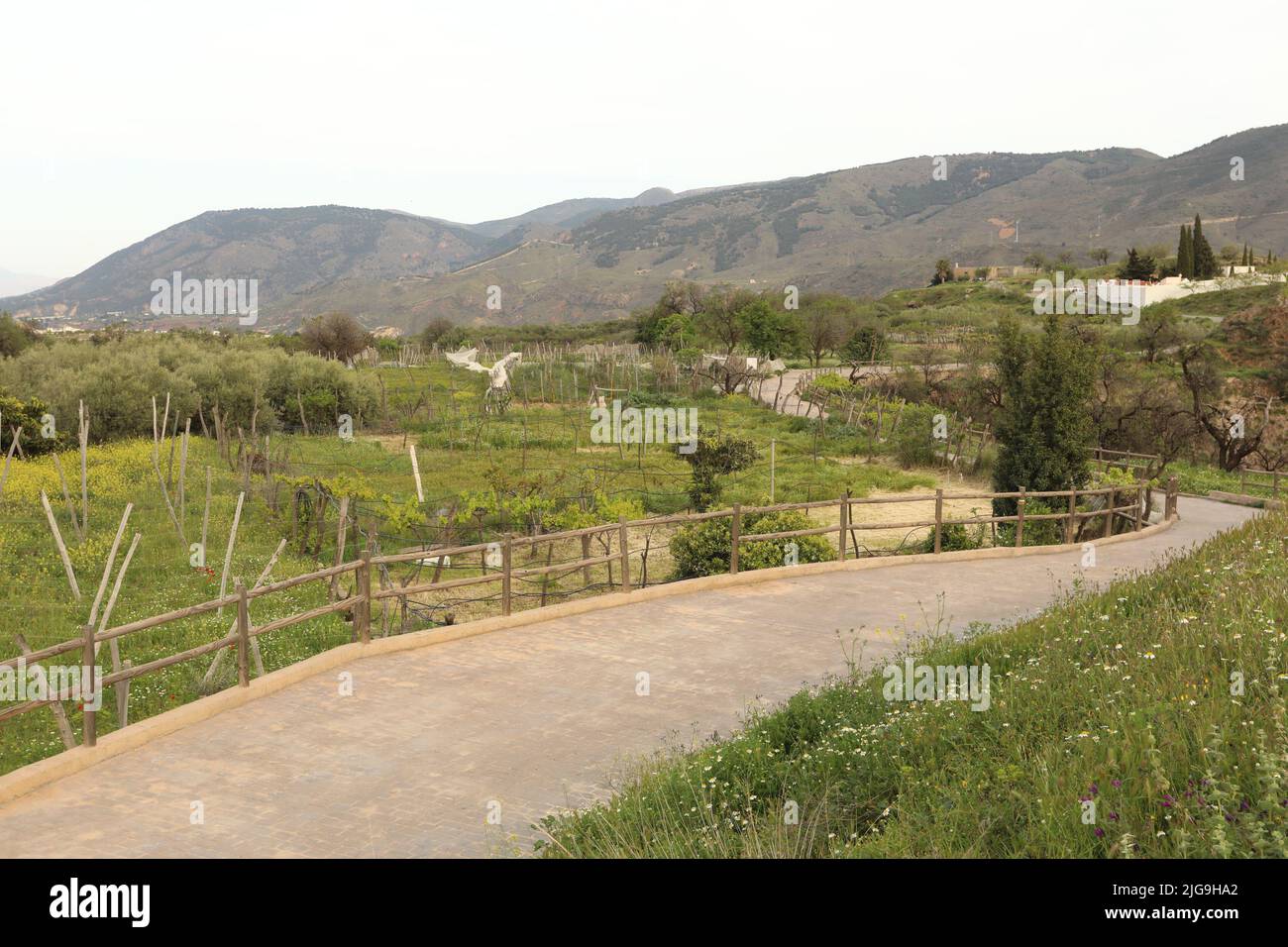 Green path in village hi-res stock photography and images - Alamy