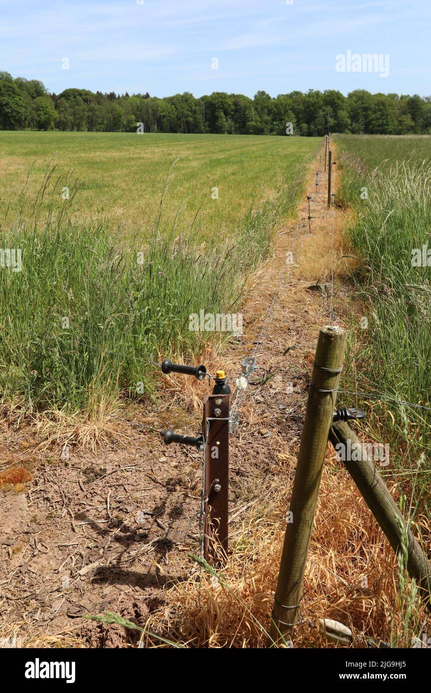 Fence with electric wire hi-res stock photography and images - Alamy