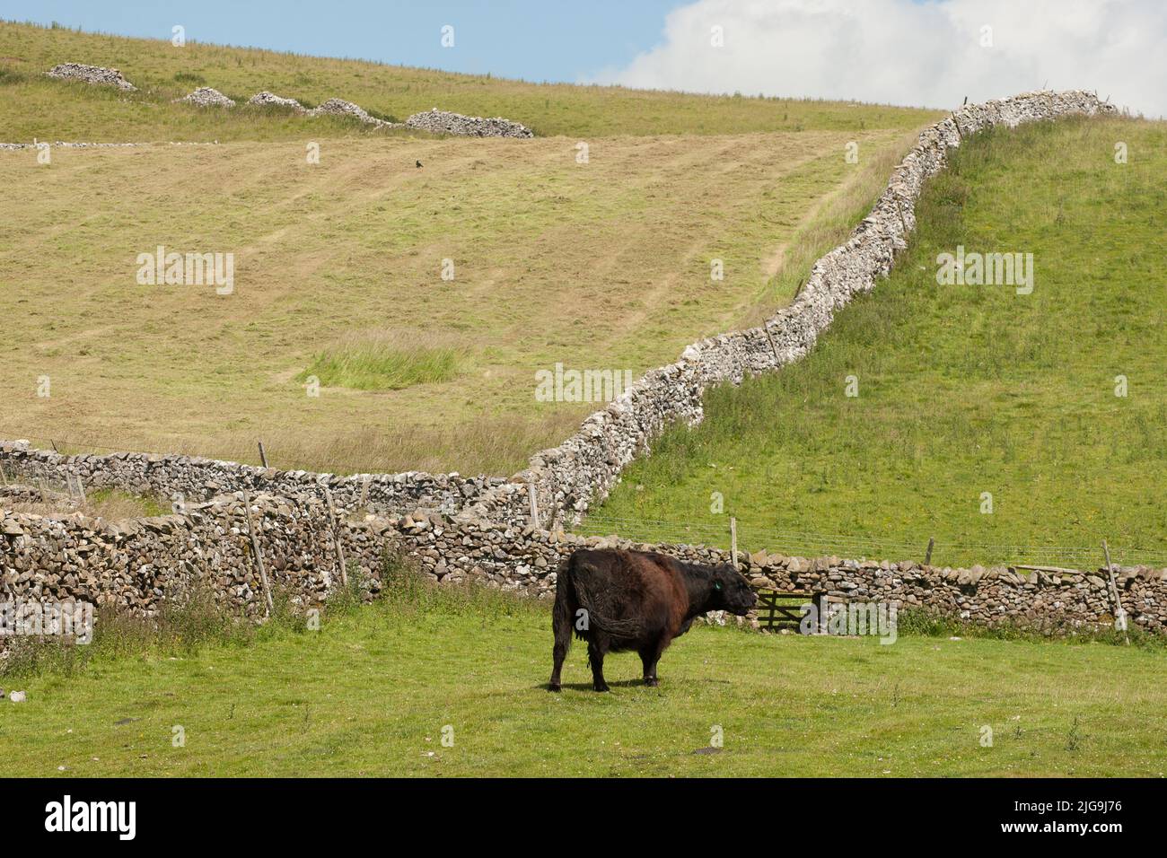 Kirkby Malham Craven Yorkshire Dales England Stock Photo - Alamy