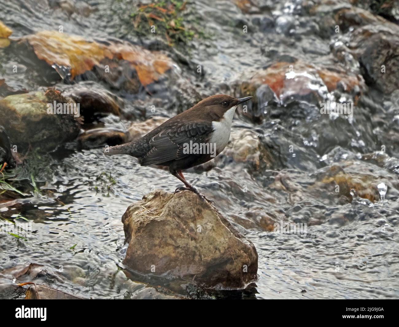 Rushing water underwater hi-res stock photography and images - Alamy