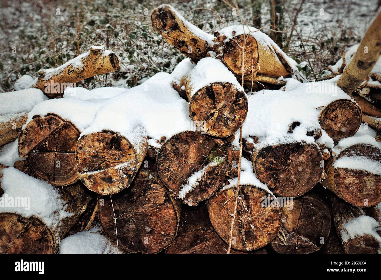 A stack of logs covered with snow Stock Photo - Alamy