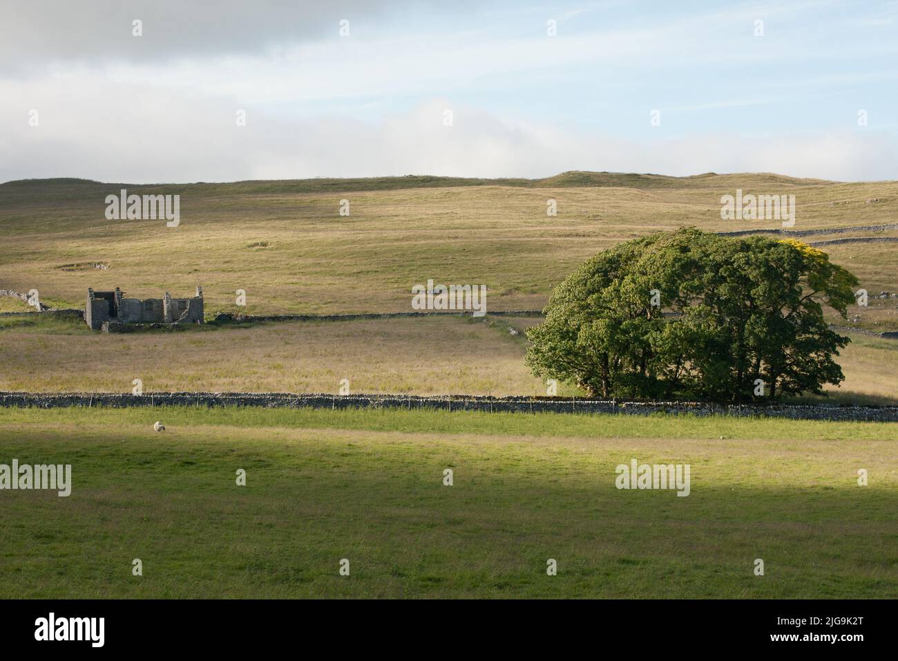 Malham Moor Yorkshire Dales England Stock Photo - Alamy