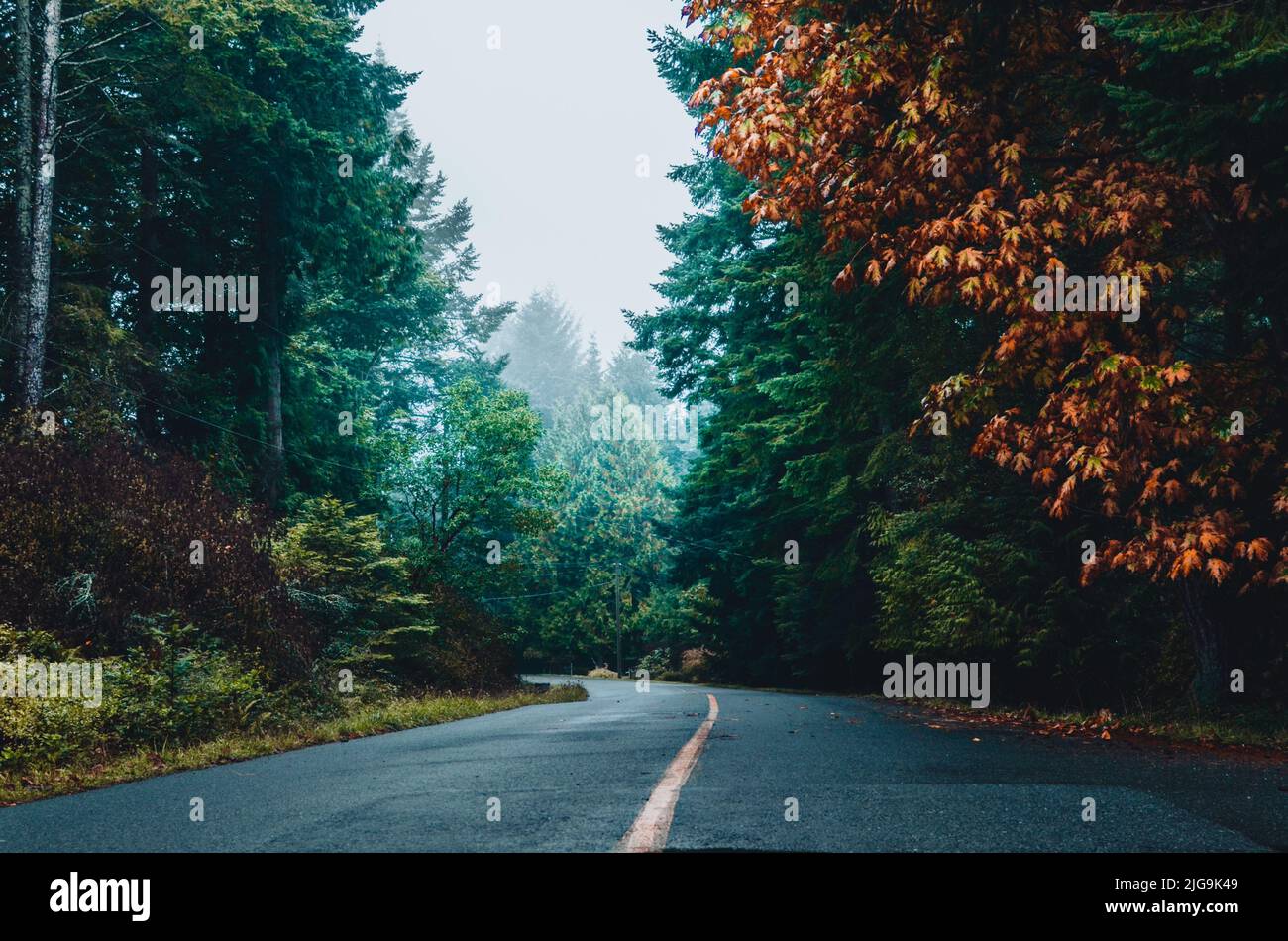 island Roads in Fall Stock Photo - Alamy