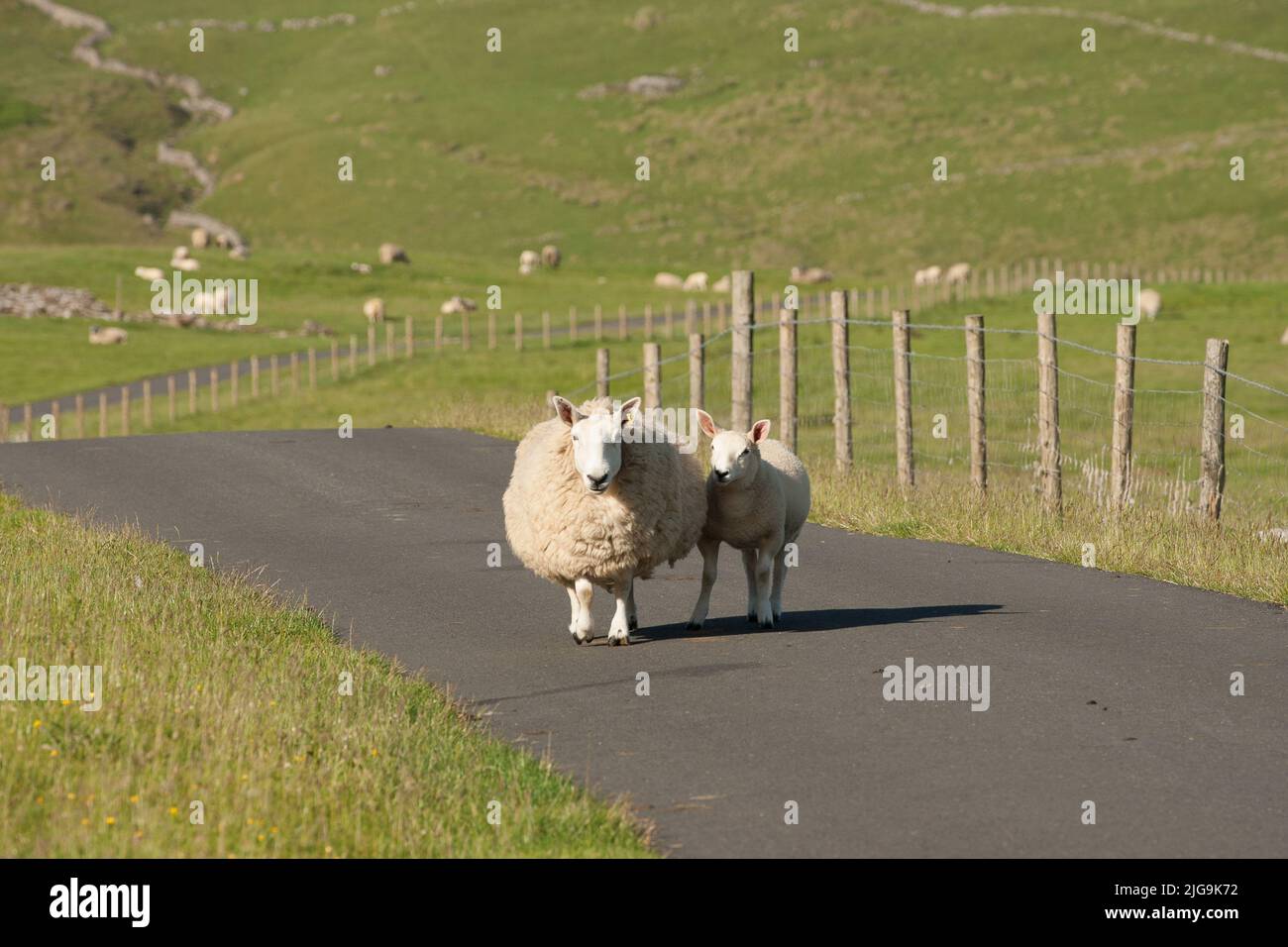 Malham Moor Yorkshire Dales England Stock Photo - Alamy