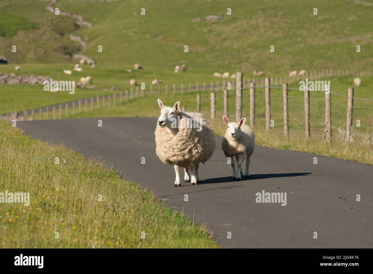 Malham Moor Yorkshire Dales England Stock Photo - Alamy