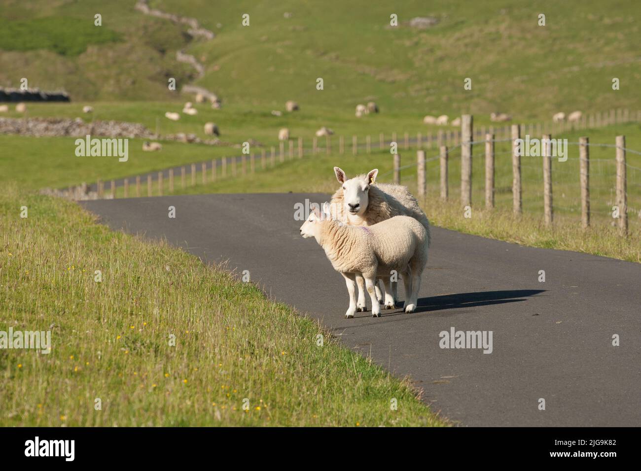 Malham Moor Yorkshire Dales England Stock Photo - Alamy