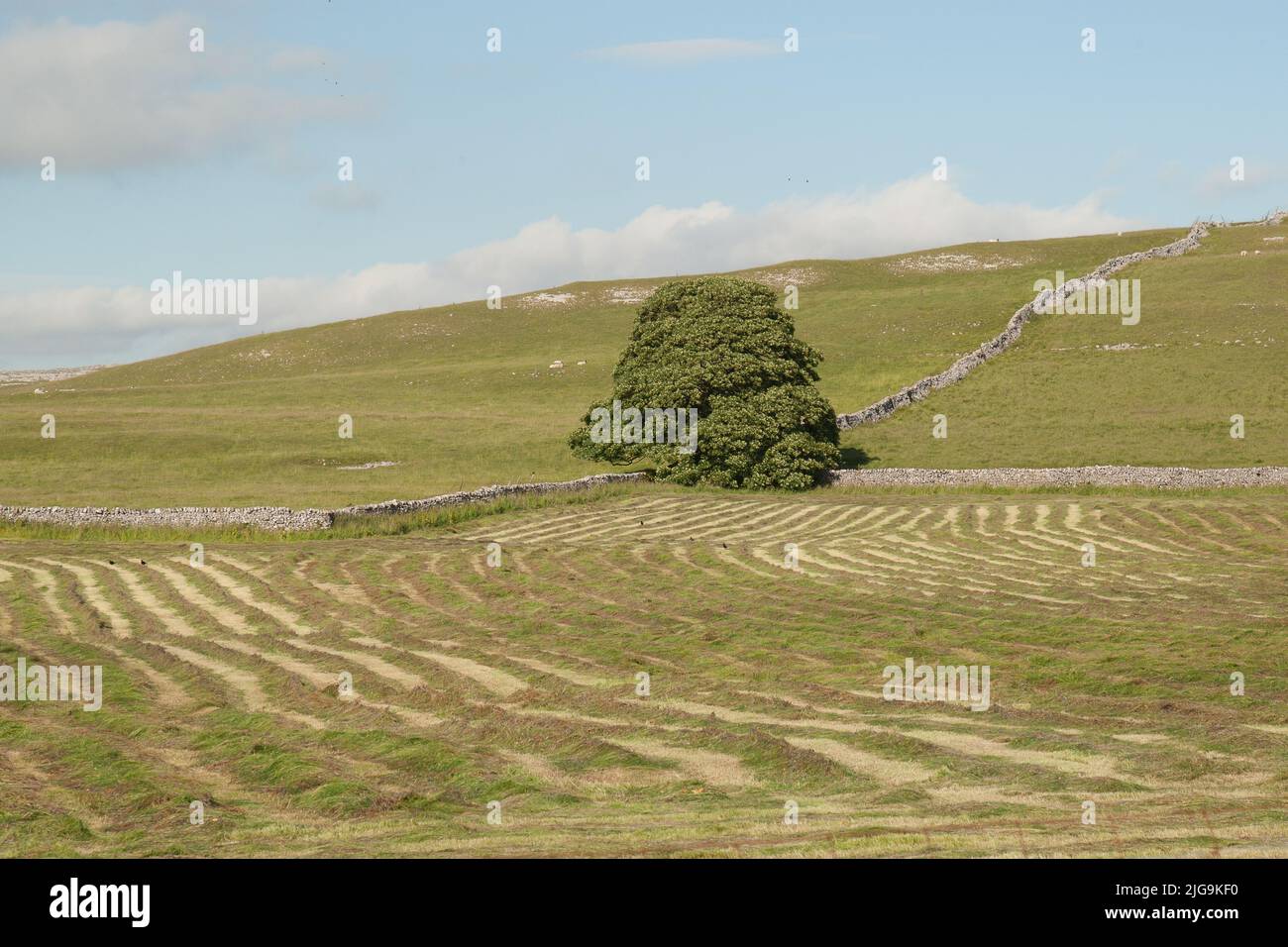 Malham Moor Yorkshire Dales England Stock Photo - Alamy