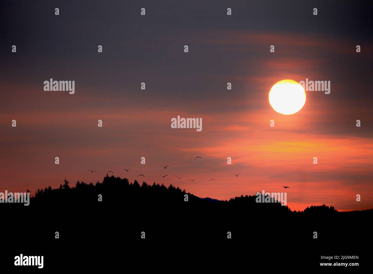 Usa alaska ketchikan sunset hi-res stock photography and images - Alamy