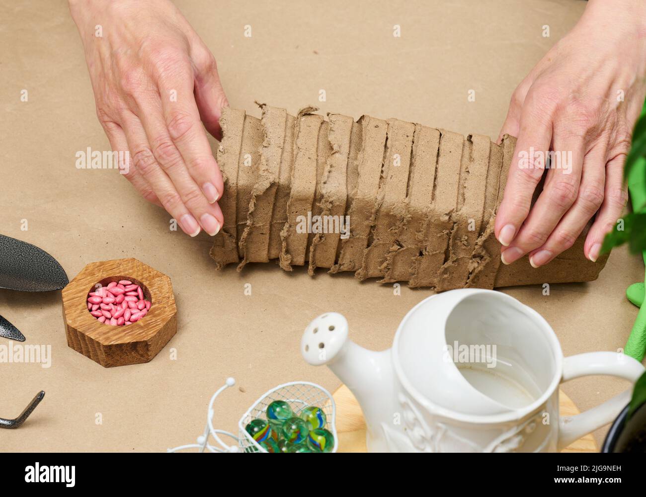 Woman at home holding paper cups for planting plants and vegetables ...