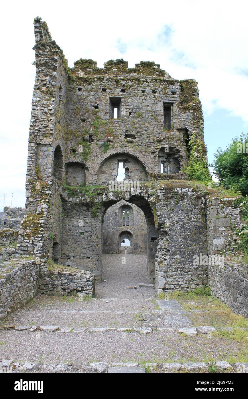 Castle Ruins near Fermoy, Ireland Stock Photo - Alamy