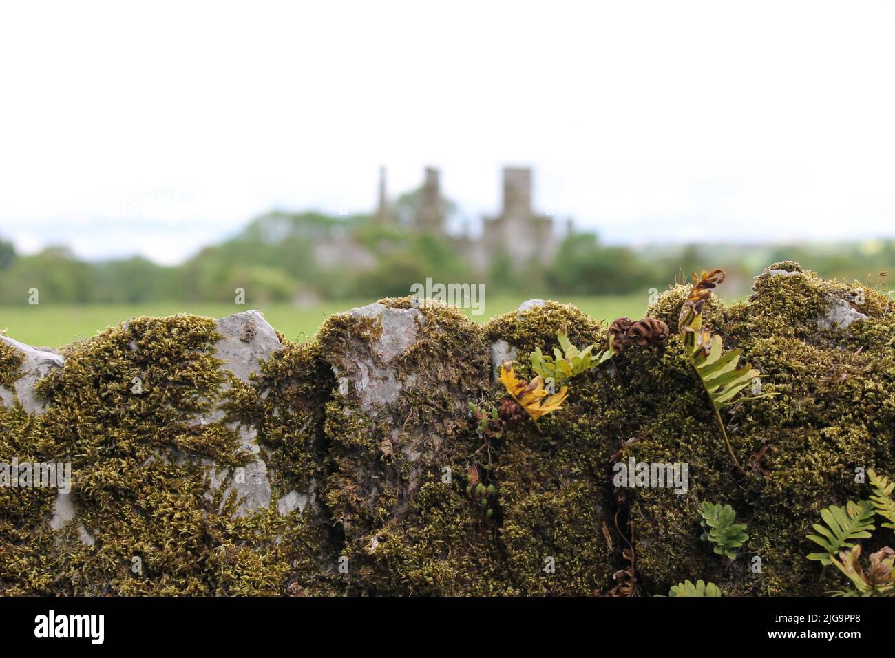 Tidy village ireland hi-res stock photography and images - Alamy