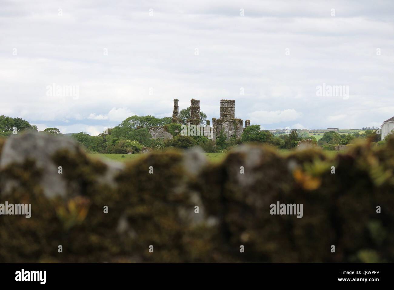 Castle Ruins near Fermoy, Ireland Stock Photo - Alamy