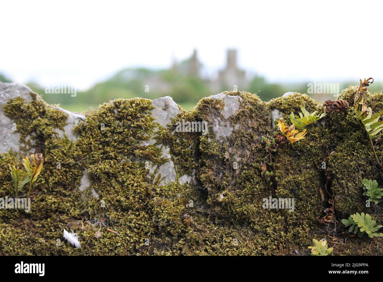 Tidy village ireland hi-res stock photography and images - Alamy